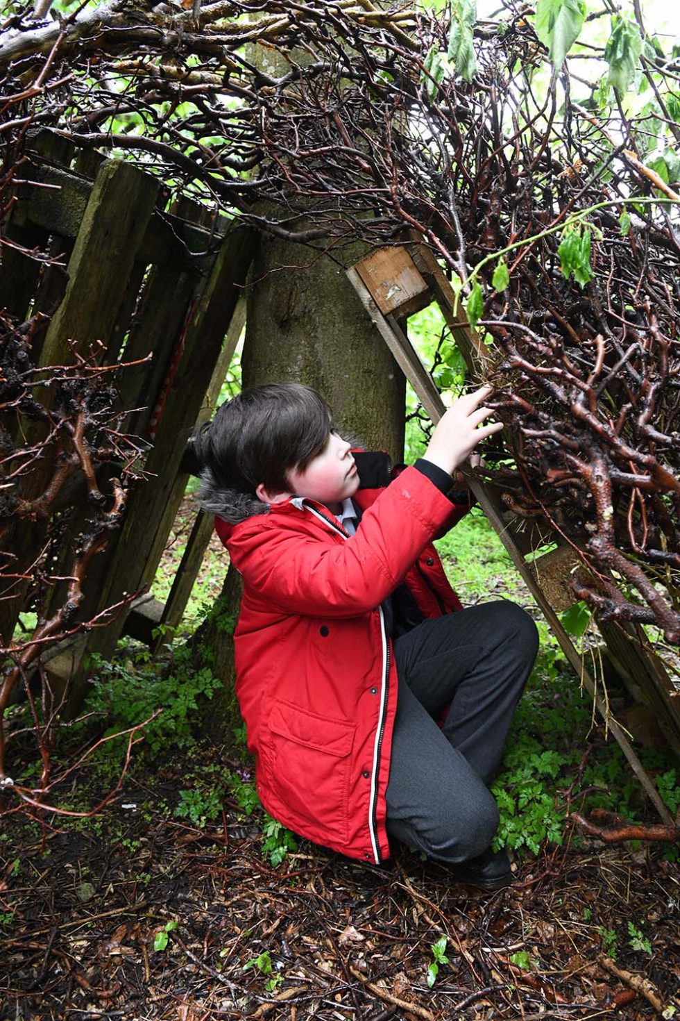 Forest School | Forest Hills Primary